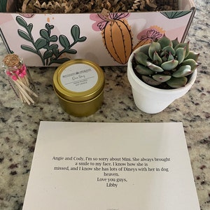 Final Exams Gift Box Exam Care Package Gift for Student | Etsy