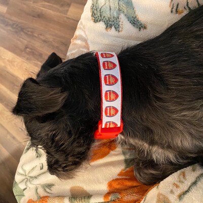 Teenage Mutant Ninja Turtles TMNT Print Small/medium/large Handmade Dog ...