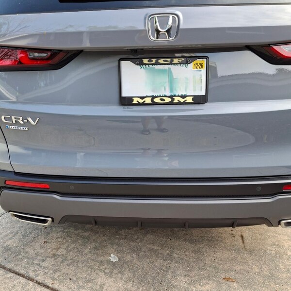 Betty Boop, Minnie Mouse License Plate Frame Universal Size Fits Car ...
