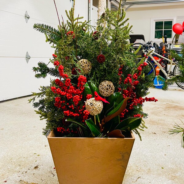 Fresh Cut Southern Magnolia Stems: Velvet Rust Tobacco Leaves, Florist ...