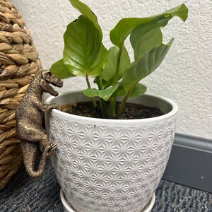 Peter Rabbit Pot Buddy Pot Hanger Beatrix Potter Gift - Etsy