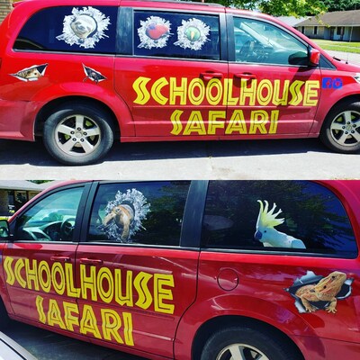 Giant Tortoise Window Decal Car Sticker Tortoise Car - Etsy