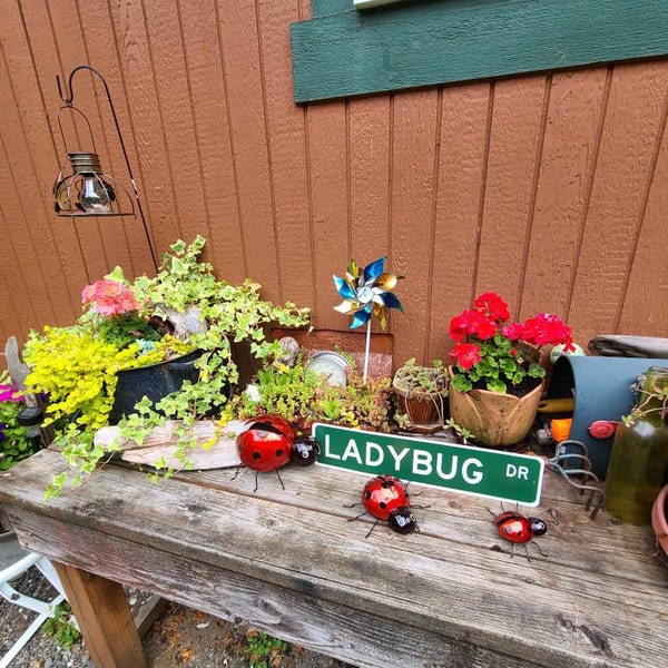 Ladybug, Ladybug Gift, Ladybug Sign, Ladybug Decor, Ladybug Lover ...