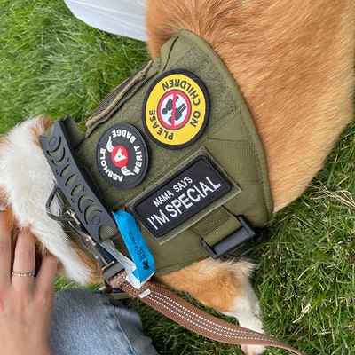 Nervous Dog Clip on Patch Tag Ask to Pet Im Nervous Custom Patch Tab ...