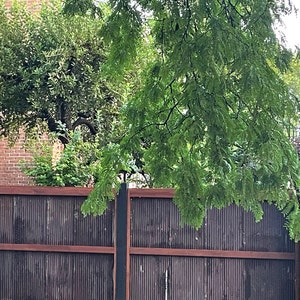 Copper Check Presenter - Etsy