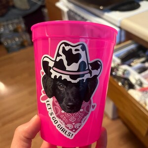 Bridal Wedding Veil Last Rodeo Bachelorette Bridal Shower Gift ...