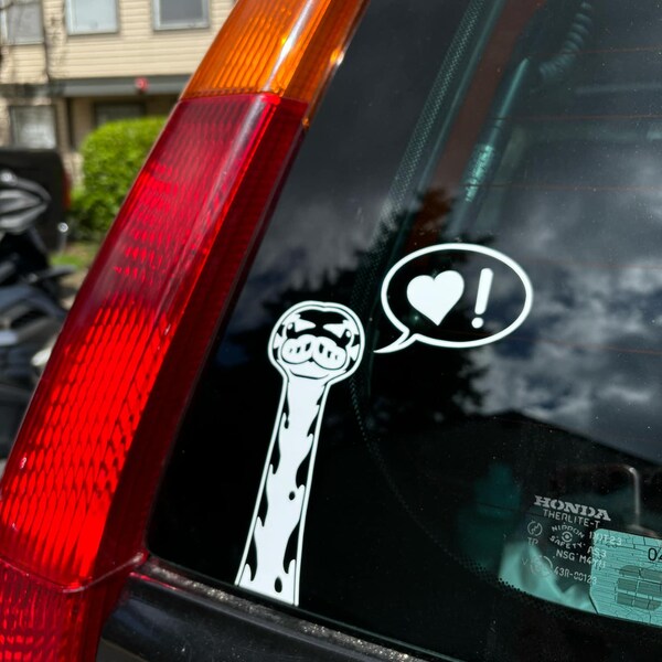 Peeking Ball Python Decal - Periscoping Snake, Serpent, Boa, Reptile ...