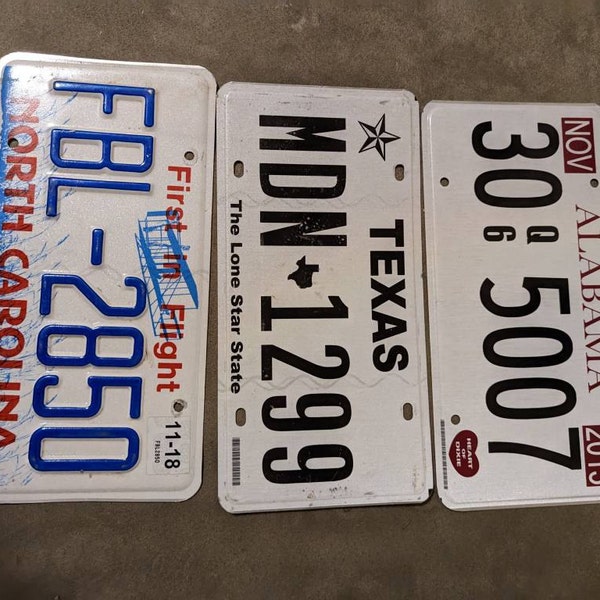 Authentic License Plates - All States Available & More in Craft ...