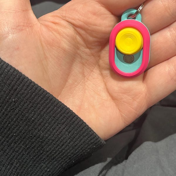 3D Printed Customizable Keychain Magnetic Haptic Slider Fidget Toy ...