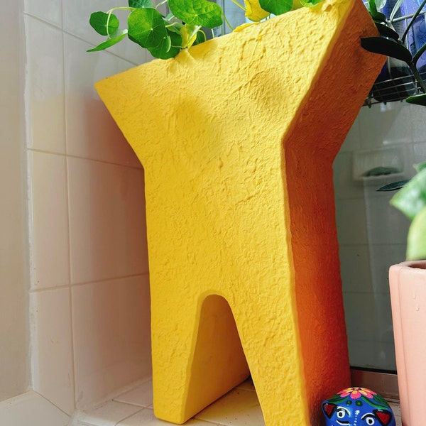 White Acorn Squash Seeds 10 - Etsy