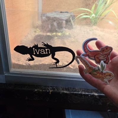 Customizable Name Green Tree Python Emerald Tree Boa Snake Vinyl Decal ...