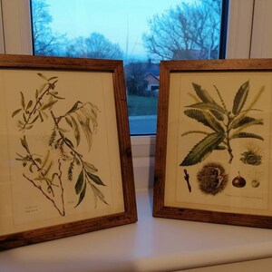 SCHOENITE PICROMERITE MINERAL Vintage Lithograph From 1967 - Etsy