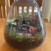 Plant Terrarium Kit Palm 3 Terrarium Plants Closed Terrarium Plants Do ...