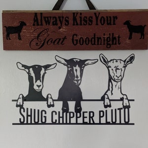 Always Kiss Your Donkeys Goodnight Donkey Love Donkey Sign | Etsy