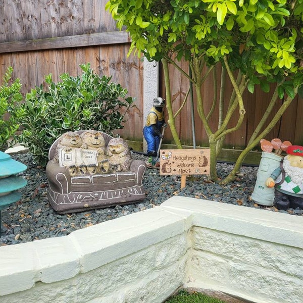 Robin and Wren Open Front Nesting Box Bird House - Etsy UK