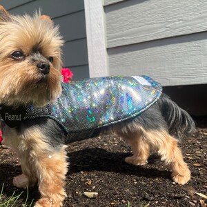 The Hawk Star Pet Protection Vest - Etsy