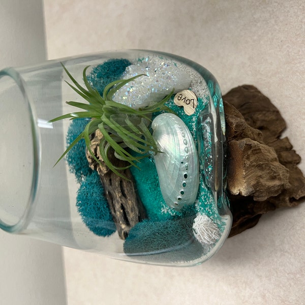 Hand-blown Glass Air Plant Terrarium With Angel Aura Crystal - Perfect ...