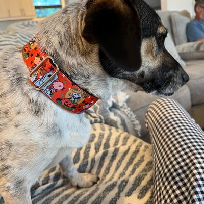 The Rudolf Collars - Etsy