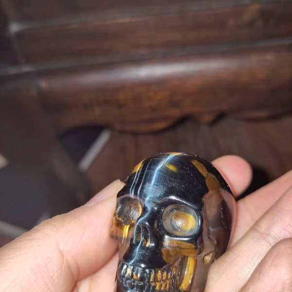 Skullis Crystal Skull, Five Poisons - 5.2" Carnelian Carved Crystal ...