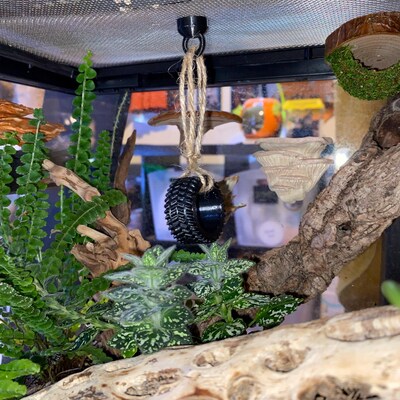 3D Printed Magnetic Corner Honeycomb Jumping Spider Hide - Etsy