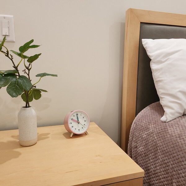 Miffy Green Alarm Clock Nijntje Analog Timepiece LED Light Snooze ...