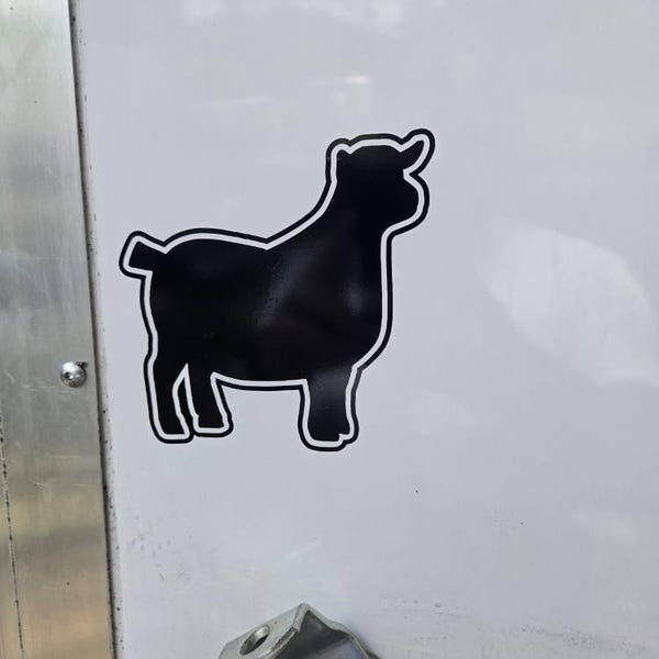 Full Color Show Goat-full Color Show Goats-boer Doe-boer Wether-jackpot ...