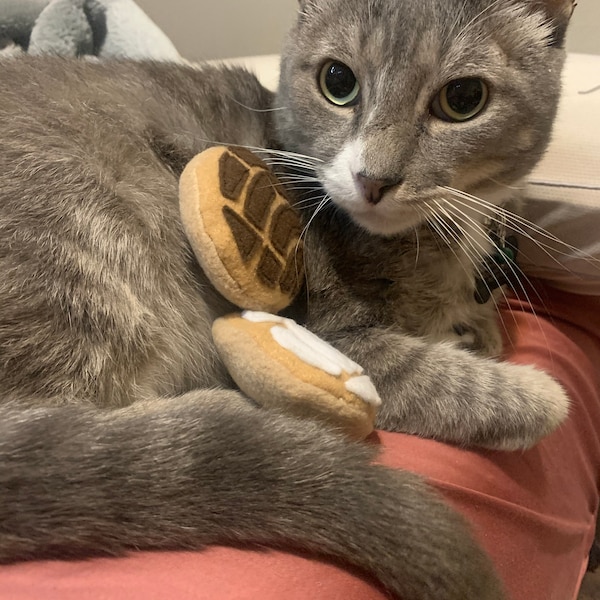 Concha Bread Cat Toys Organic Catnip Toys, Pan Dulce Concha Catnip Cat ...