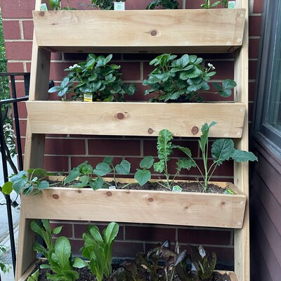 Living Wall, Vertical CEDAR Planter Box Ladder, larger Sizes ...