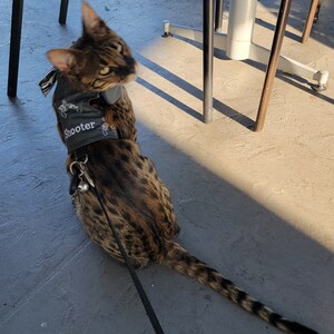 Safetykatz Walking Jacket Red Custom Made Cat Reversible | Etsy