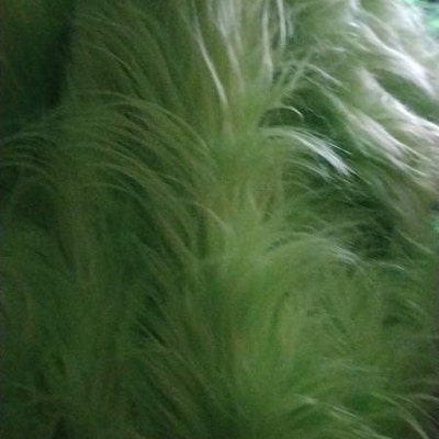 Lime Green Luxury Shag Faux Fur Fabric by the Yard 60 Wide, Shaggy ...