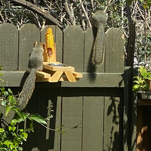 Screened Bird Feeder with Torched Wood Boarder and Chain with | Etsy