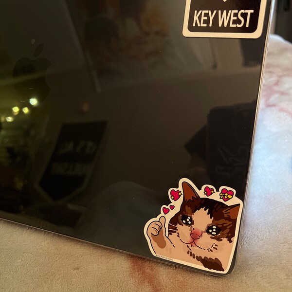 Sad Cat Meme Thumbs up With Heart Good Job Cat Sticker – Cat Meme ...