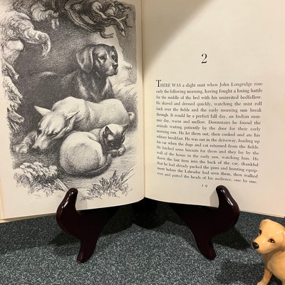 North American Folklore Folk Proverbs and Riddles First Edition 2003 ...