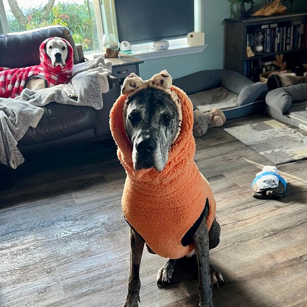 Raccons on Bikes Snood for Dogs, Great Dane/big Dog Snood, Bicycle ...