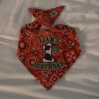 NAME 1st RODEO Back Number-personalizedcowboy-1st Birthday/rodeo Banner ...