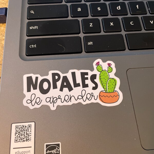 Celebra La Diversidad | Spanish Vinyl Sticker | Die Cut | Bilingual ...