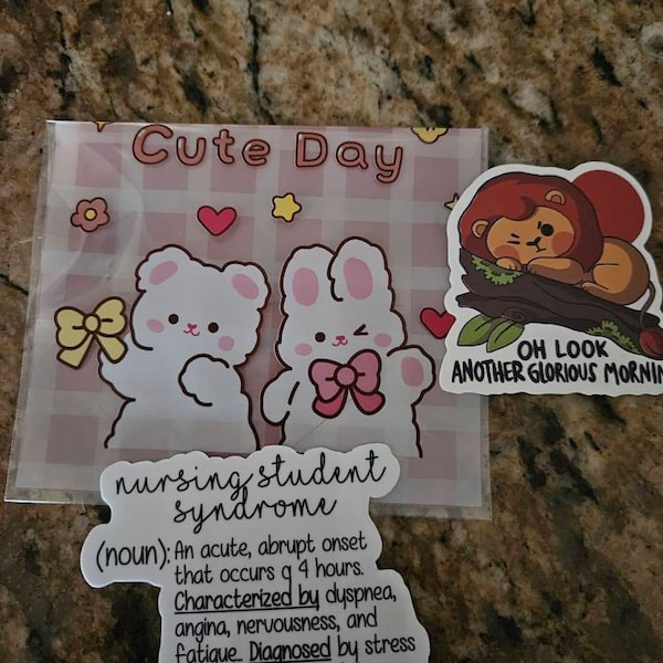 Ultimate Nursing Student Bundle - Bundle for Nursing Students - Planner ...