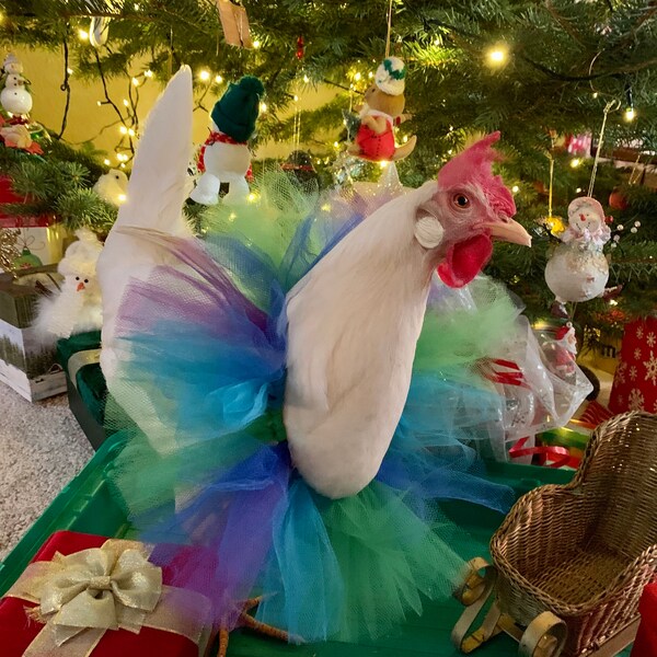 Mermaid Chicken Tutu - Etsy