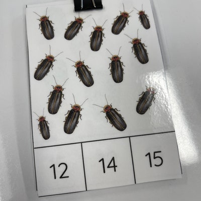 Count and Clip Cards 1-20 Printable Digital Download - Etsy