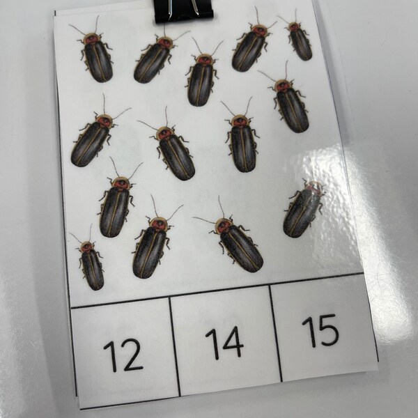 Count and Clip Cards #1-20 Printable Digital Download - Etsy