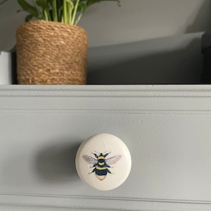 Insect Handles set of 6 Bug Handles Decoupaged Drawer Handles Drawer ...