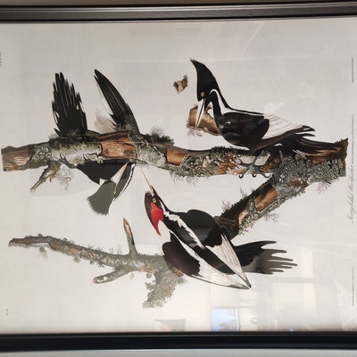 Nautical Knots Poster, Old Boating and Sailing Knot Chart, Premium ...