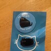 Cat Acrylic Pin / Pins / Acrylic Pin - Etsy