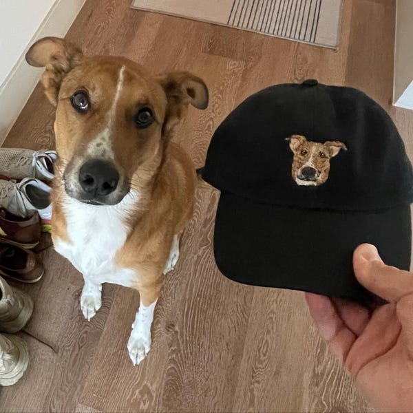 Monster's Inc Hat, Boo's Door Hat, Boo, Monsters Inc, Disney Dad Hat ...