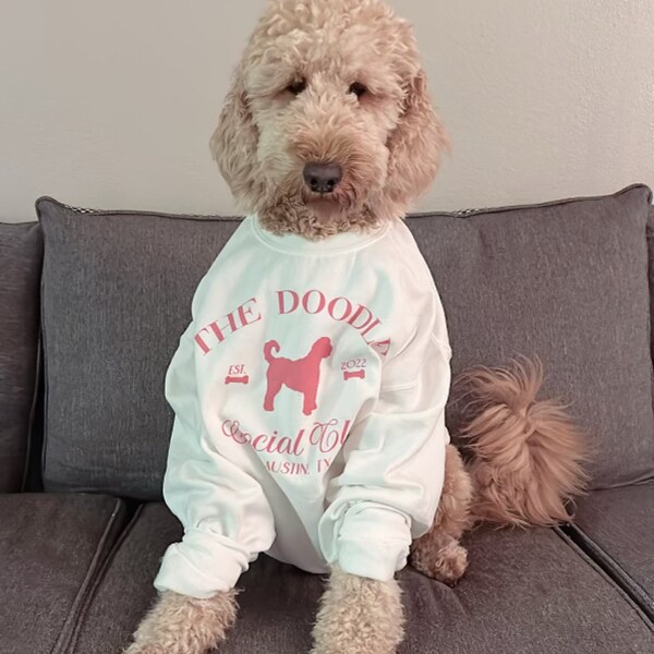 Pasta Sweatshirt Pasta Shirt Gift for Chef Spaghetti Sweatshirt Gift ...