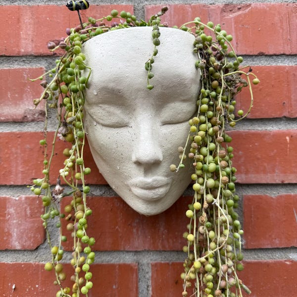 Handmade Human Face Wall Planters - Creative Plant Display - Face Plant ...