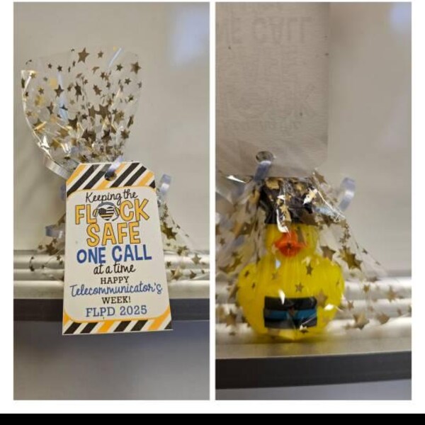 Custodian Day Card Printable, Custodian Appreciation Gift, Thank You ...