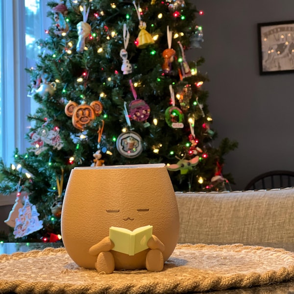 GANSAL Slat Planter Pot 4, 5, 6, 7 Wide Clear Pot With Drainage ...