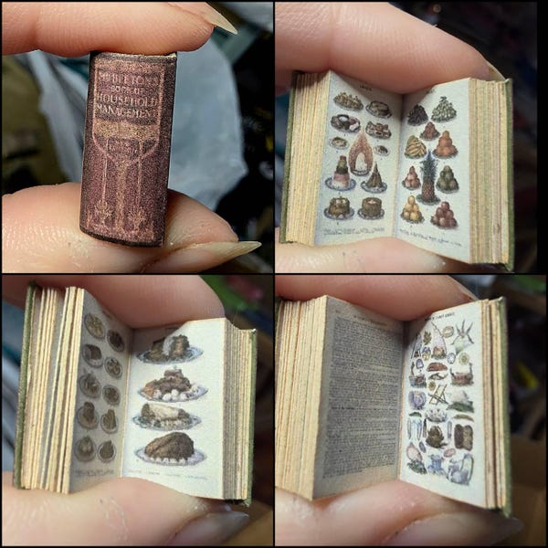 Miniature 15th Century Literary Austria Book. Illustration Manuscript ...