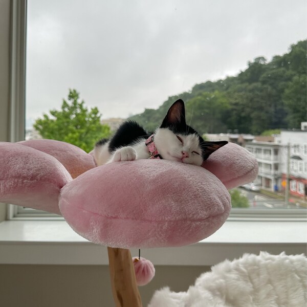 Modern Floral Cat Tree, Wooden Cat Tower, Modern Cat House, Cat ...